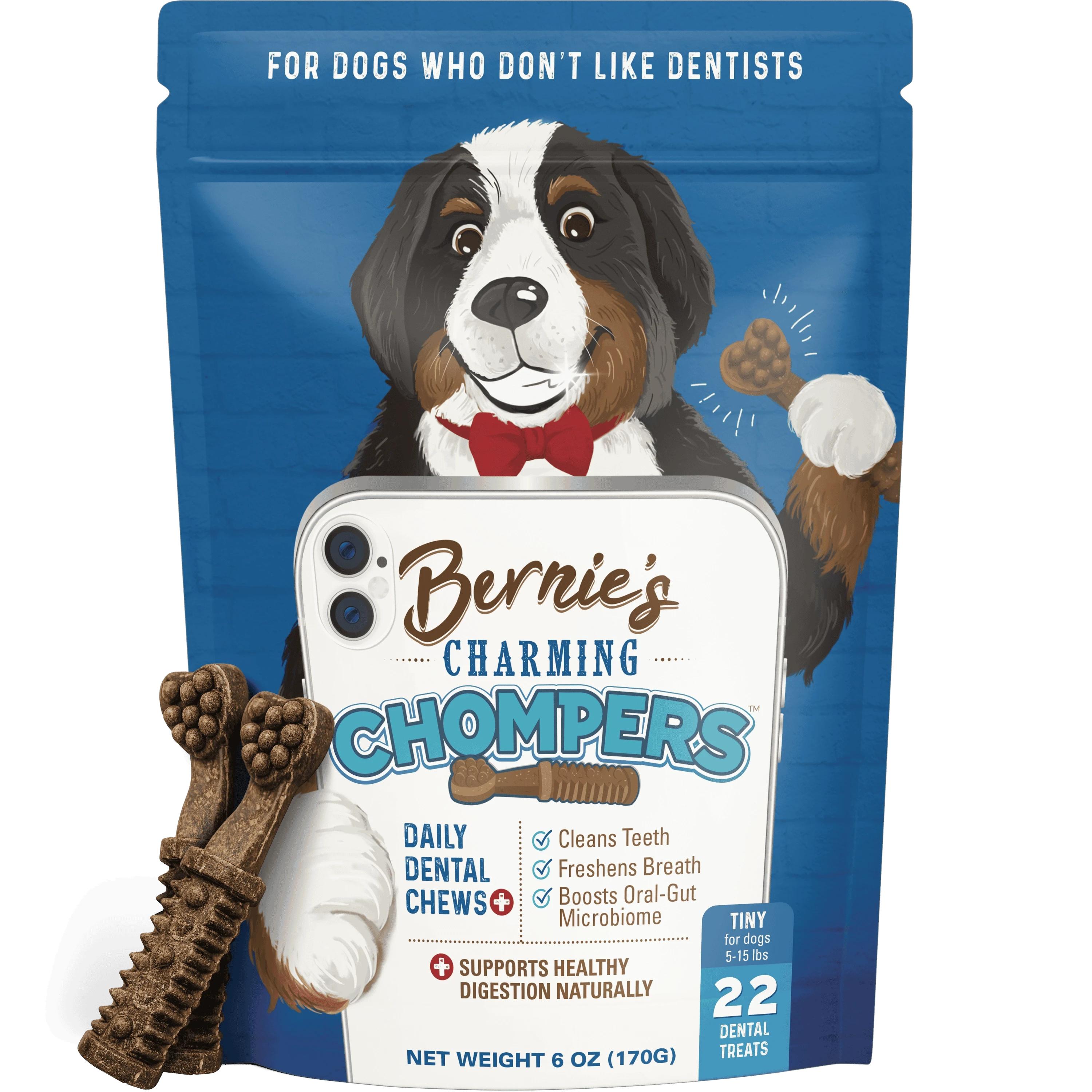 Buy Bernie's Charming Chompers: For Dogs Who Don’t Like Dentists ...