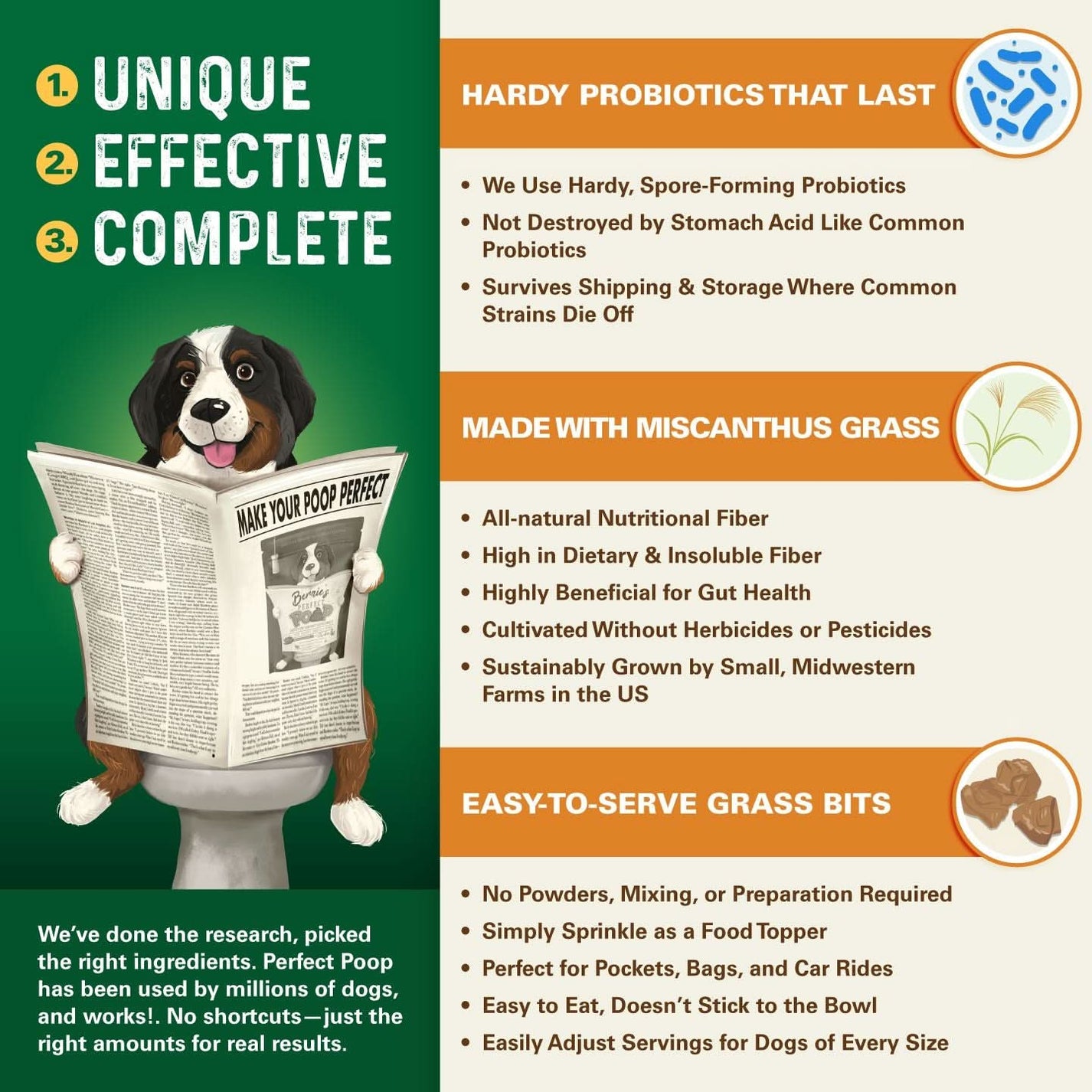 Buy Bernie's Perfect Poop: The Ultimate Digestion Support for Dogs ...